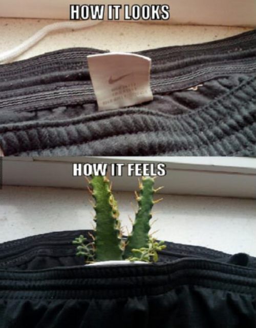 Daily Randomness (40 Photos) - FunCage