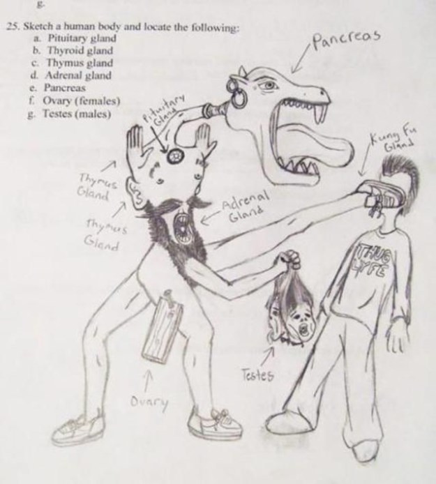 29 Best Text Book Vandals Ever - FunCage