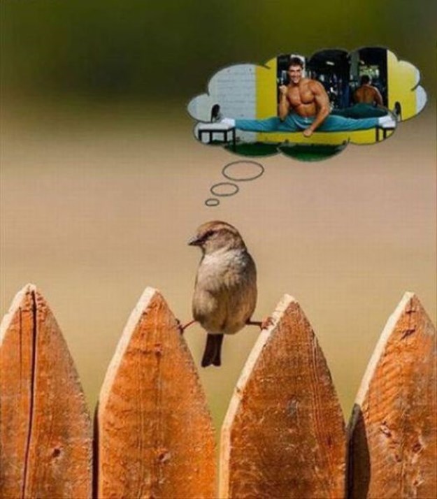 The Maximum Level of Awesomeness (38 Photos) - FunCage