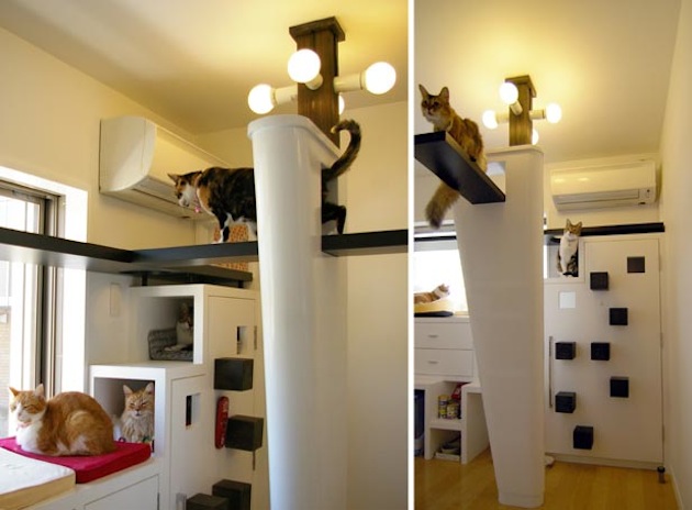 18 Creative Spaces Designed For Your Cat - FunCage