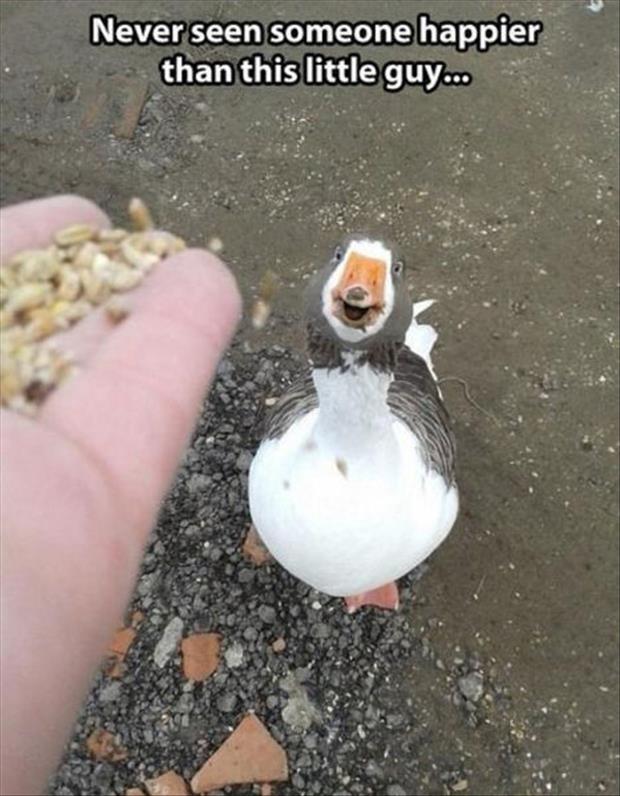 Happiest Faces Ever (24 Photos) - FunCage