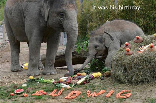 Happiest Faces Ever (24 Photos) - FunCage