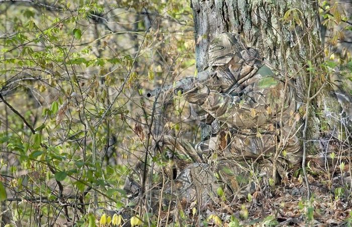 Why Camouflage Is So Important (10 Photos) - FunCage