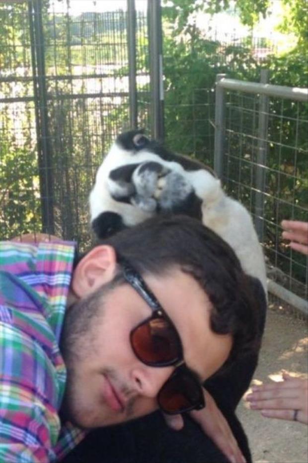 You’ve Been Photobombed (25 Photos) - FunCage