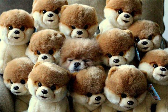 Get The Odd Man Out (37 Photos) - FunCage
