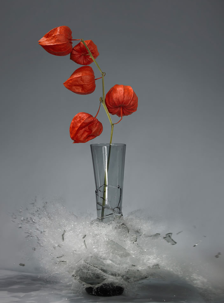 These High-Speed Photos Capture Delicate Flower Vases Shattering In Mid ...
