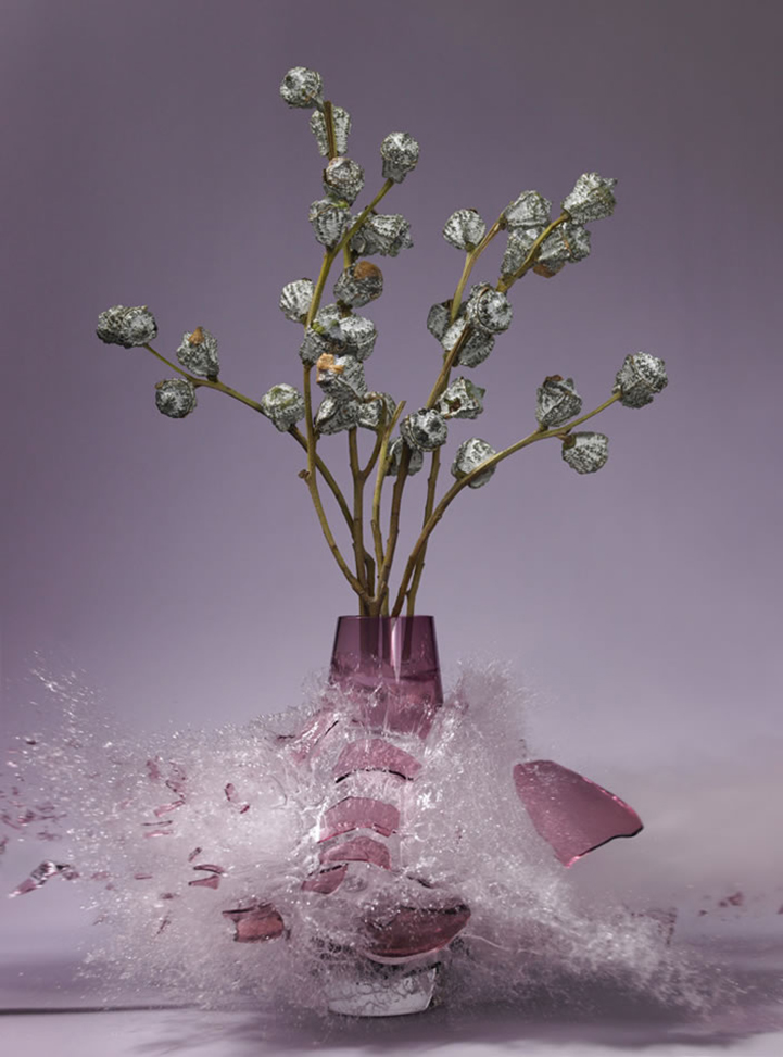 These High-Speed Photos Capture Delicate Flower Vases Shattering In Mid ...