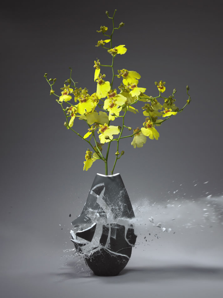 These High-Speed Photos Capture Delicate Flower Vases Shattering In Mid ...
