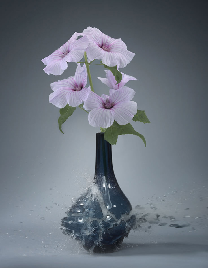 These High-Speed Photos Capture Delicate Flower Vases Shattering In Mid ...