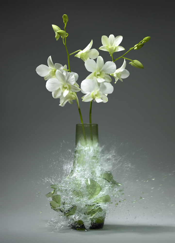These High-Speed Photos Capture Delicate Flower Vases Shattering In Mid ...